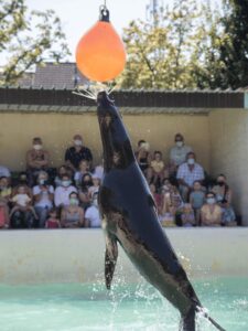Parc attraction pour petit Belgique, Le Mont Mosan à Huy