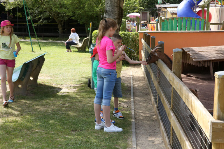 Mont mosan otaries perroquets, Mont Mosan à Huy