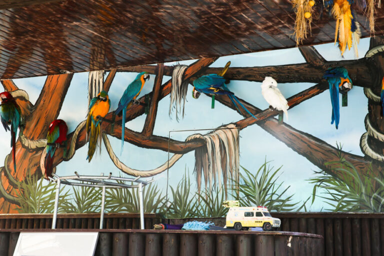 Mont mosan otaries perroquets, Mont Mosan à Huy